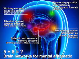 Teaching and Learning Through Problem Solving – Making Sense of Mathematics